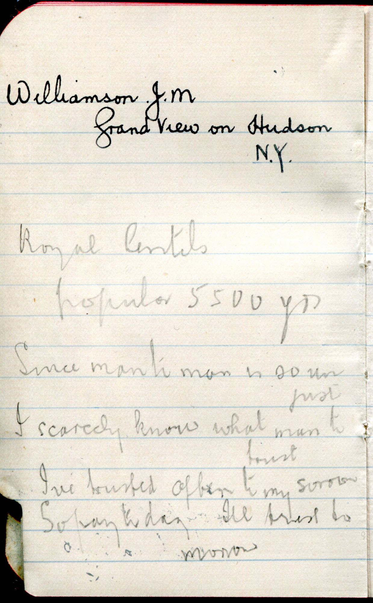 Small address book with brown/red cover. Majority of the addresses are ...