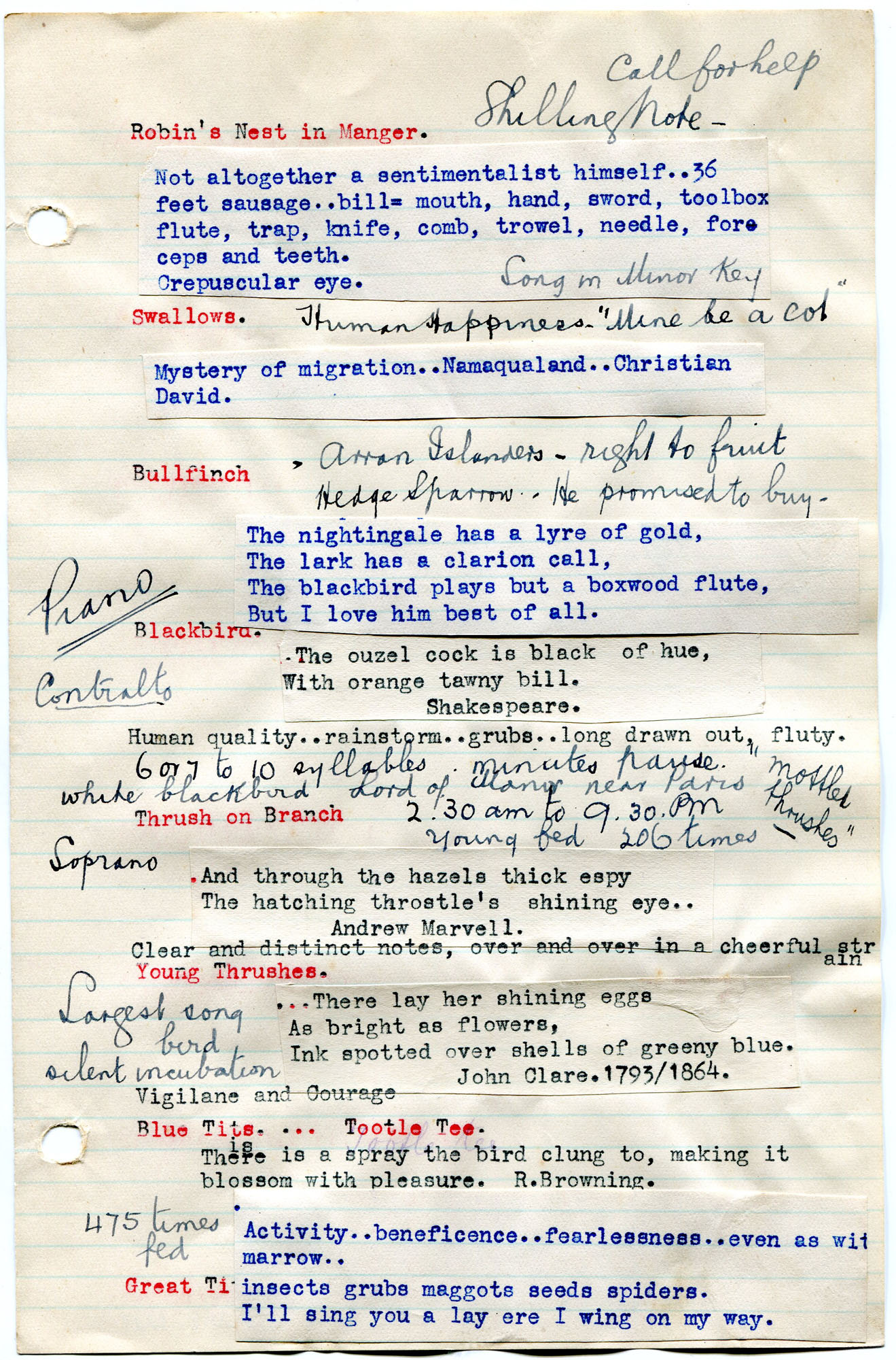 Typed and handwritten rough notes/agenda for lecture or talk re birds ...