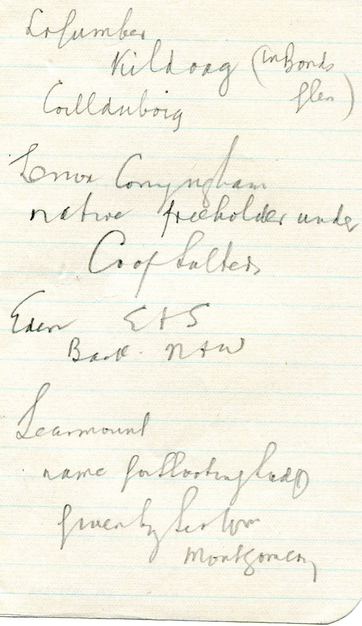 Handwritten rough notes, not in context, on page in pencil. Re Kildoag ...