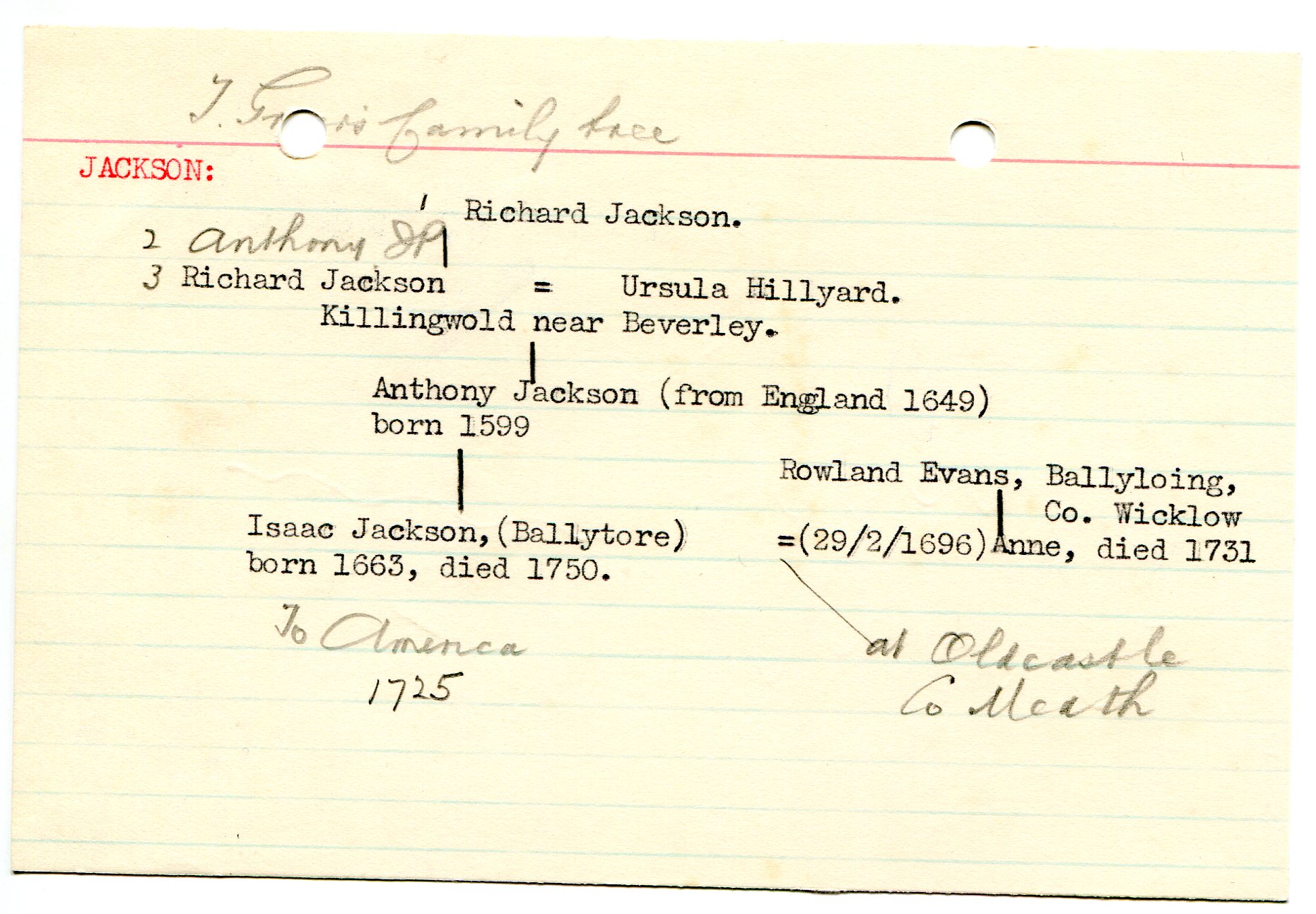 Typed family tree on lined card. ‘? Greer’s? family tree’ handwritten ...