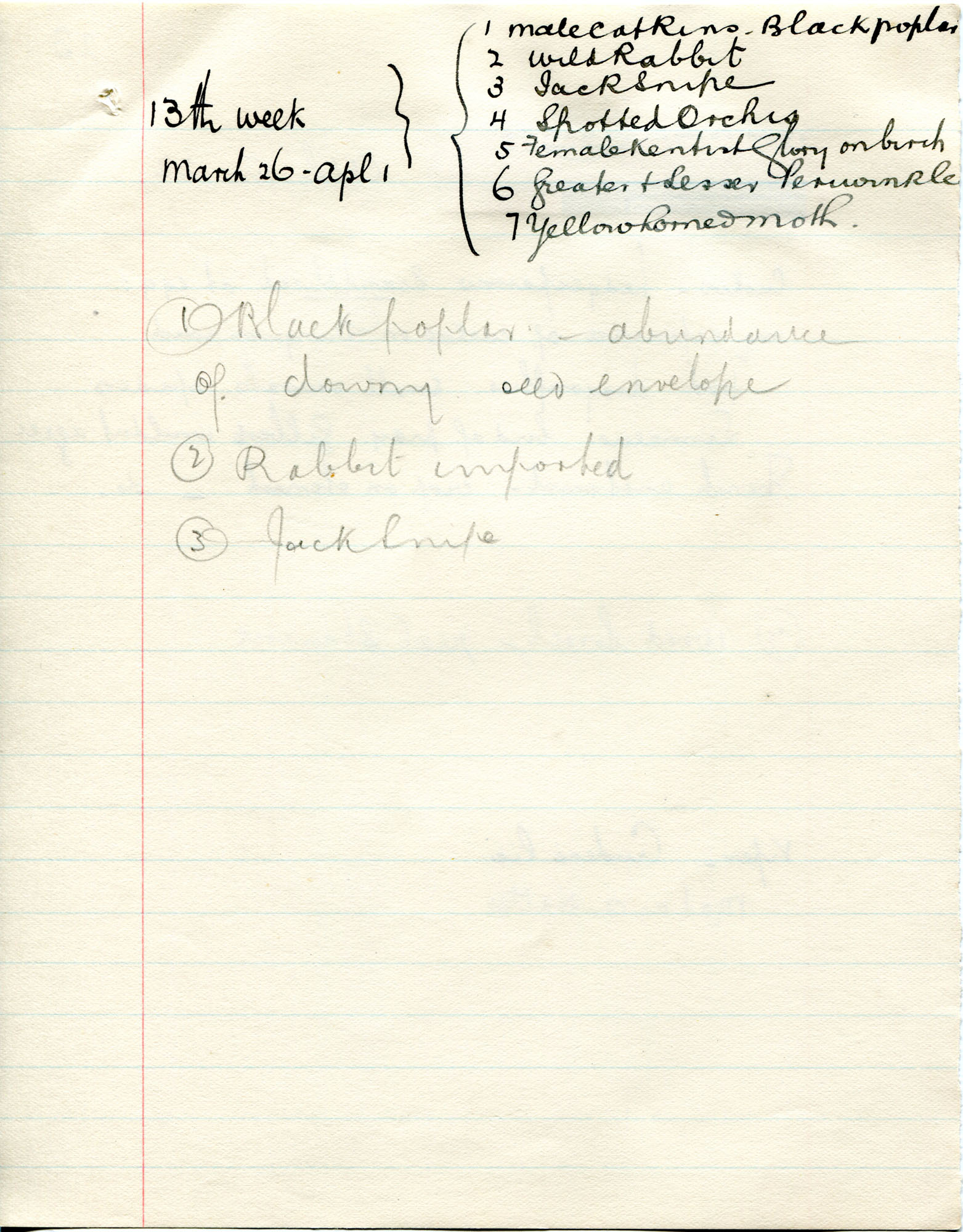 Page 7 of 26. Handwritten nature notes (double sided). Details ...