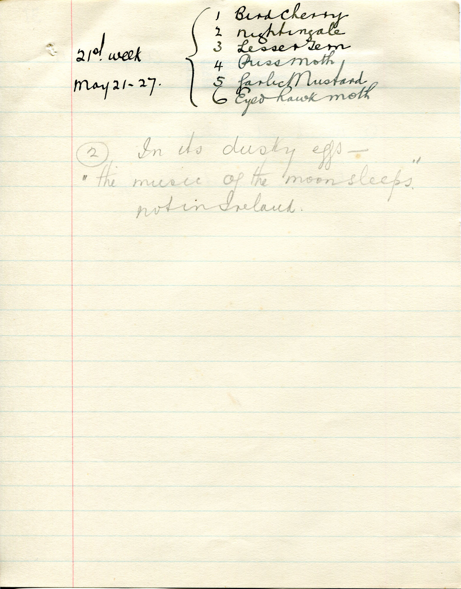 Page 11 of 26. Handwritten nature notes (double sided). Details ...