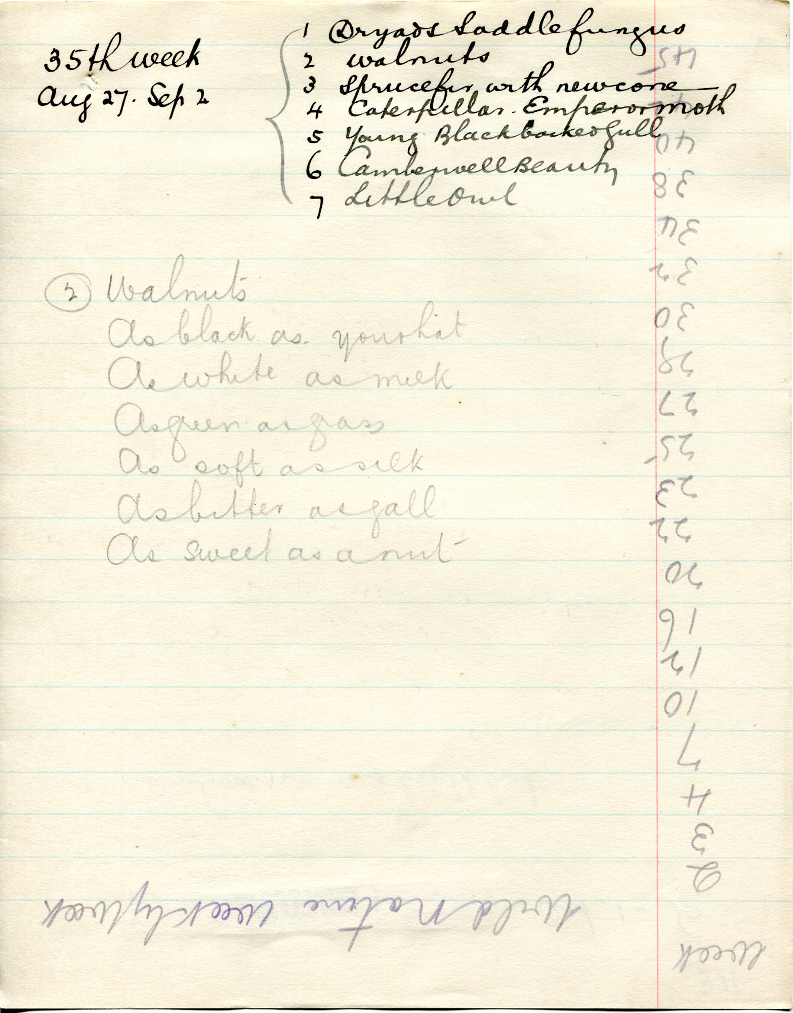 Page 18 of 26. Handwritten nature notes (double sided). Details ...