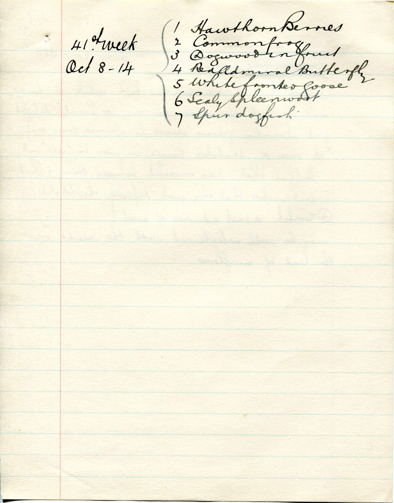 Page 21 of 26. Handwritten nature notes (double sided). Details ...