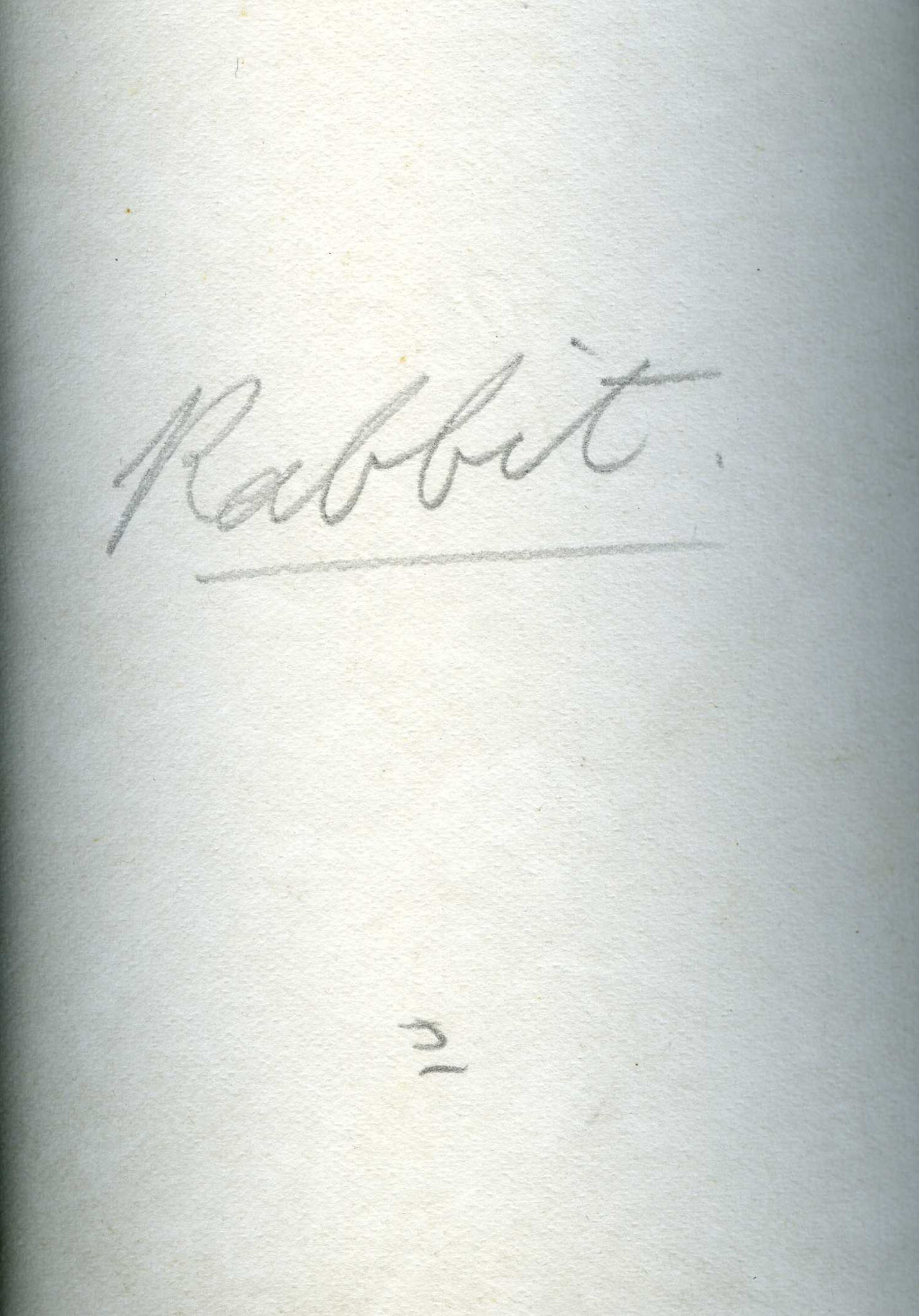 Slightly larger version of CM:2015:759, a photo of a rabbit. This one ...