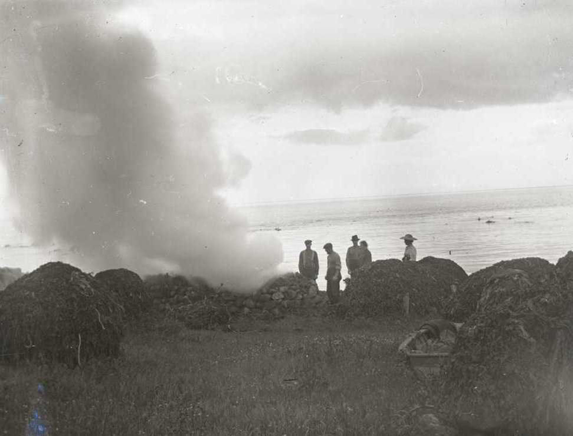 Kelp burning – NI Community Heritage Archive